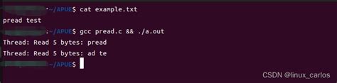 linux系统调用 pread linux pread csdn博客