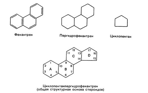 Стероиды