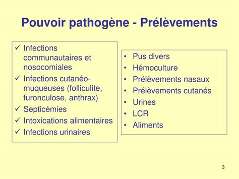 Ppt Technique Dantibiogramme Des Staphylocoques Staphylococcus Aureus Powerpoint