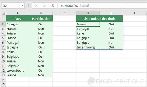 Fonction Excel Unique