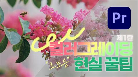 초보를 위한 프리미어 컬러 그레이딩색보정 튜토리얼 1탄 실전용 현실 꿀팁 3가지 Youtube