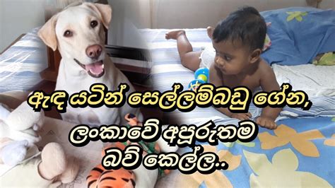 ඇඳ යටින් සෙල්ලම්බඩු හොයන් මල්ලිට ගෙනත්දෙන නෙකීබබා Youtube