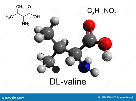 Valine Is An Essential Amino Acid Chemical Structural Formula And Model Of Molecule Cartoon