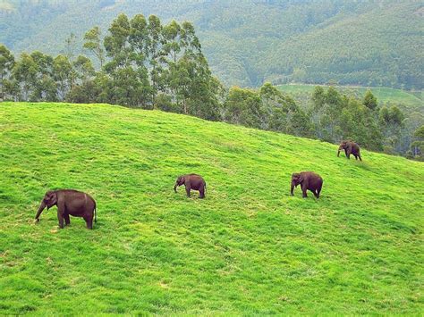10 Famous Biosphere Reserves In India That You Should Visit If You