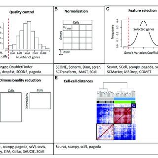 Overview Of Common Data Processing Steps With Examples Of Relevant