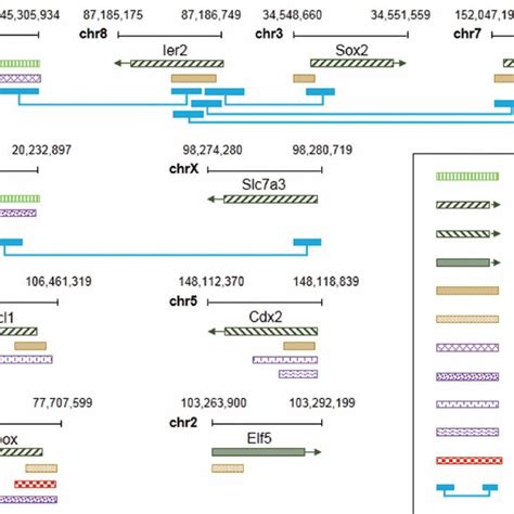 Workflow A And Results B Of Chip Array 2 A Direct Targets Are