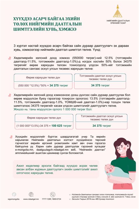 ХҮҮХДЭЭ АСАРЧ БАЙГАА ЭХИЙН НИЙГМИЙН ДААТГАЛЫН ШИМТГЭЛИЙН ХУВЬ ХЭМЖЭЭ