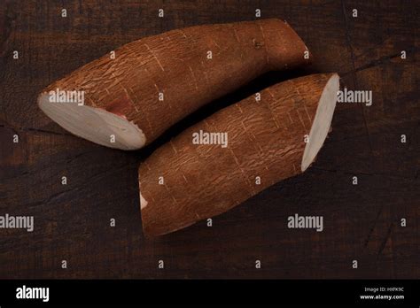 Manihot Esculenta Cassava Yuca Manioc Mandioca Brazilian Arrowroot