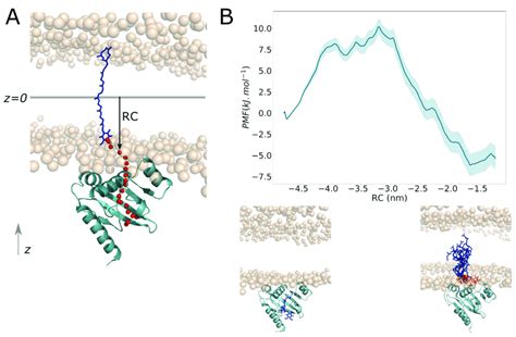 Free Energy Calculations Of Uq 8 Release A A Schematic Download Scientific Diagram