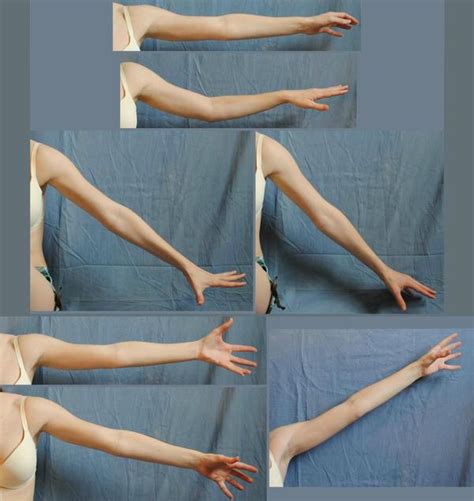 Arms Side 13 By Piratelotus Stock On Deviantart Hand Reference
