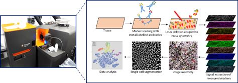 Figure 1 From Introducing Ncl Sm A Fully Annotated Dataset Of Images From Human Skeletal Muscle