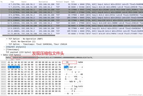 Nssctf Bsidessf Ctf 2019 Zippy（详细解题思路） Bsidessf Ctf 2019 Zippy Csdn博客