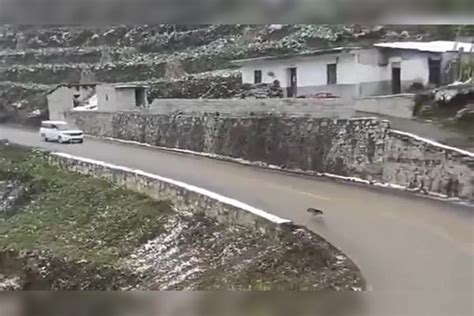 汽车下坡神走位看这操作一定是个高手