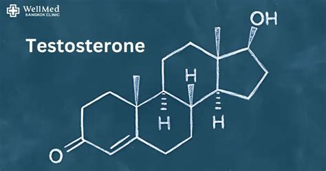 Testosterone Replacement Therapy In Bangkok Wellmed Best Bangkok Clinic