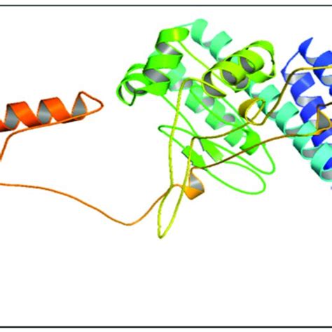predicted 3d structure of t pallidum vaccine constructs visualized by download scientific