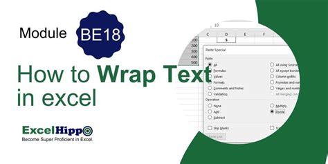 Beginners Excel Hippo