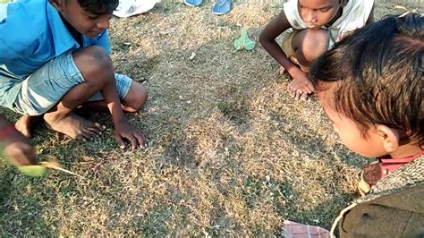 Cock Fight Morog Lorai Deshi Morog Lorai Youtube