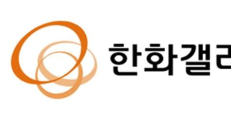 김동선의 한화갤러리아 아이스크림 신사업 위해 자회사 설립