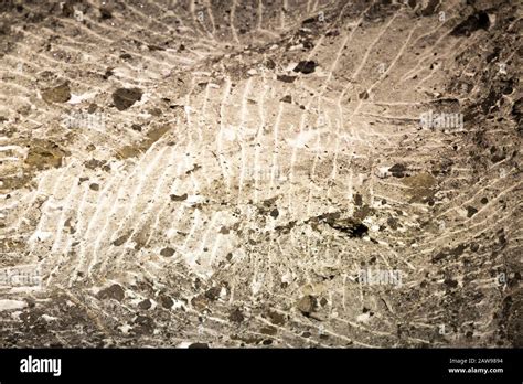 Background Of Stone Salt Wall Texture Weathered Wall Stock Photo Alamy