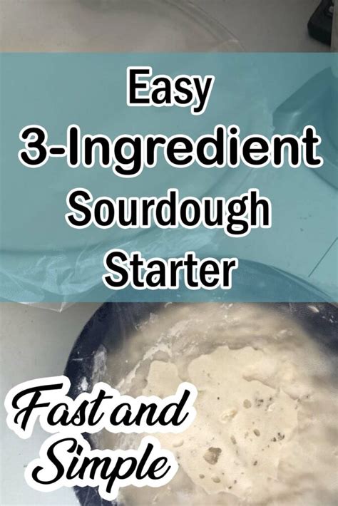 Easy Sourdough Starter Recipe A Cake To Remember