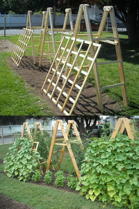 15 Easy DIY Cucumber Trellis Ideas Diy Garden Trellis Diy Trellis