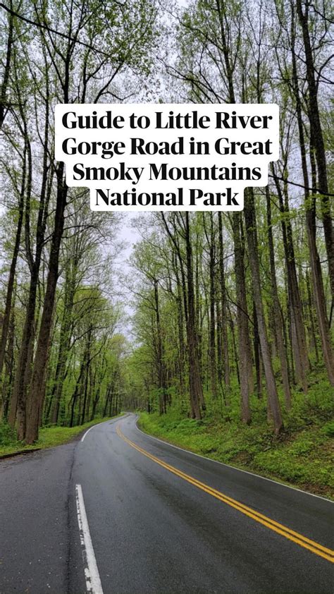 The Best Great Smoky Mountains Itinerary For 3 Days In The National