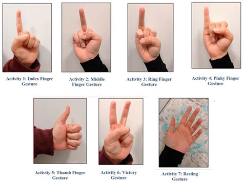 Enhanced Hand Gesture Recognition With Surface Electromyogram And Machine Learning