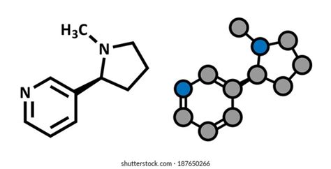 Nicotine Tobacco Stimulant Molecule Main Addictive Stock Vector