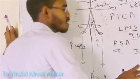 Khalid Alhadi Alnoor Sallam On Linkedin Anatomy Education Healthcare Simplification Videos