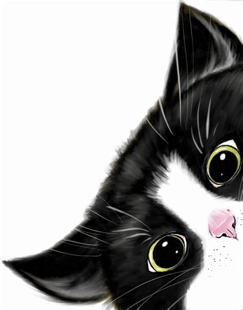 Black And White Cat Drawing