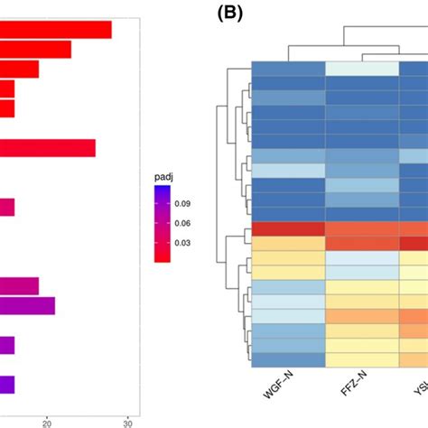 Gene Expression Profile Of Linc02535 Target Genes A Top 20 Canonical