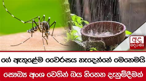 ගේ ඇතුළේම වෛරසය හැදෙන්නේ මෙහෙමයි සෞඛ්‍ය අංශ වෙතින් බය හිතෙන