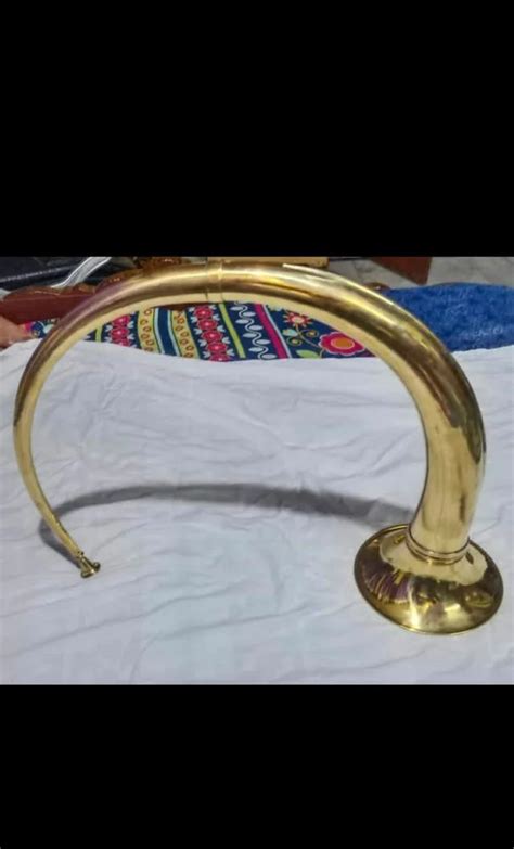 Brass Musical Horn At Rs 2500piece Musical Horns In Meerut Id