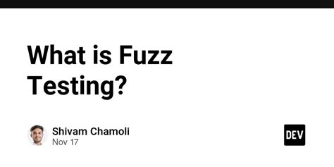 What Is Fuzz Testing Dev Community