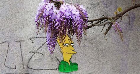 Sideshow Bob Gets A Fabulous Flowery New Hair Do Thanks To Street