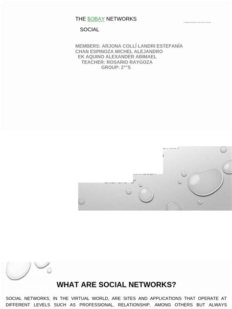 social media powerpoint presentation pdf social media popular