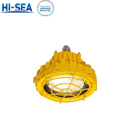 Ex Proof Platform Flood Light