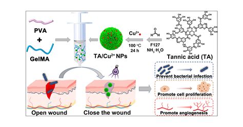 Gelatin Based Injectable Hydrogels Loaded With Copper Ion Cross Linked