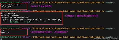 git基础 删除文件 rm git rm 命令详解 csdn博客