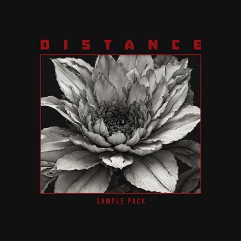 Distance Sample Pack Negative