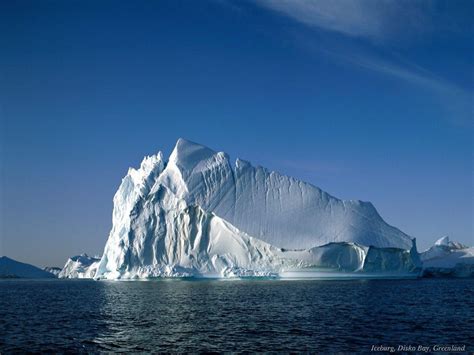 Purpura Iceberg