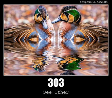 303 See Other Status Code And Ducks