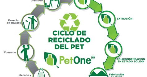 Proyecto PET PROYECTO PET