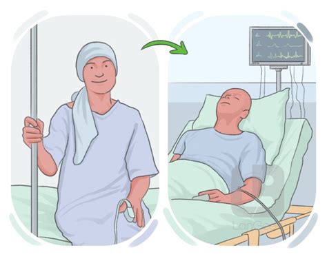 Definition And Meaning Of Decline Picture Dictionary