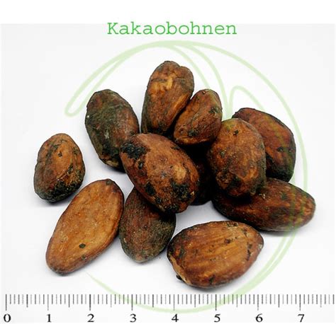 Масло какао бобов: польза, свойства и применение | Florapower