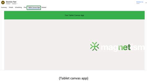 how to embed a canvas app on a model driven app form magnetism