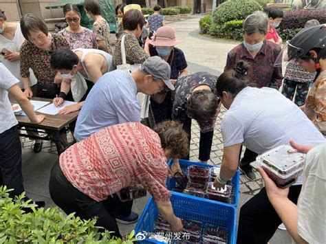 鄞州一小区197棵杨梅统一采摘 居民共享梅好时光 新浪浙江 新浪网