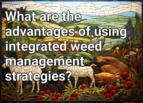 What Are The Advantages Of Using Integrated Weed Management Strategies
