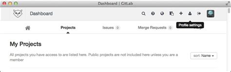 Gitlab Cookbook