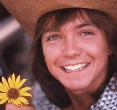 Pin By Cynthia Zavala On David Cassidy My 1st Crush David Cassidy